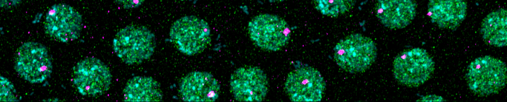 People – Rushlow Lab