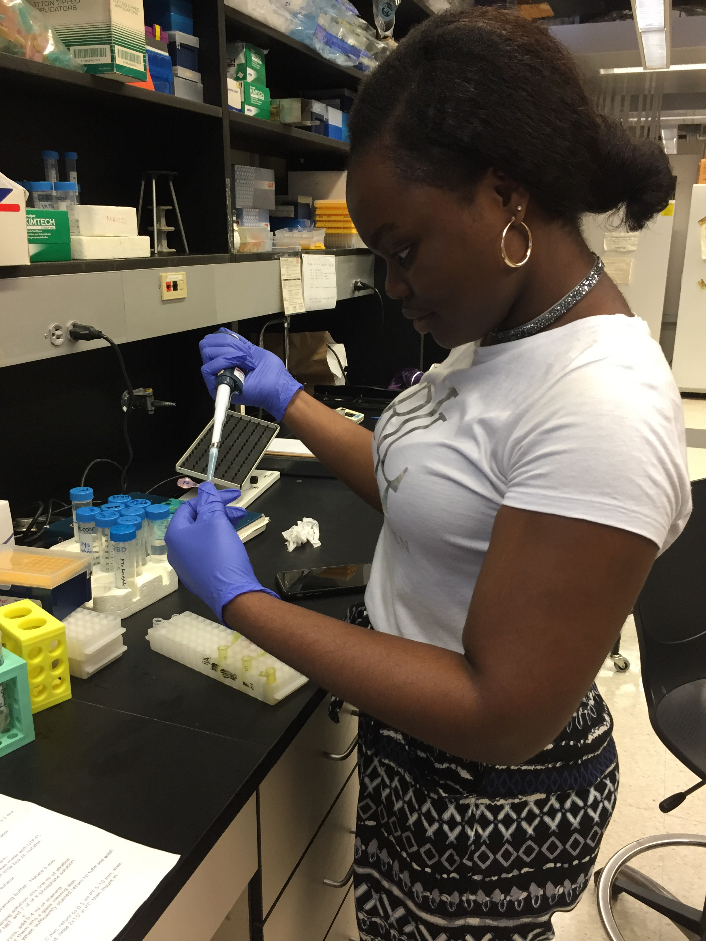 Erica-Ayisi-Boahene – Rushlow Lab